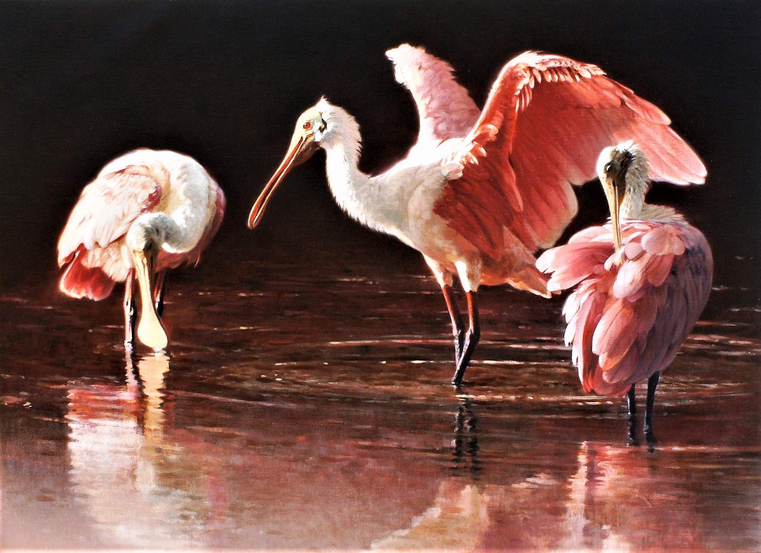 Solve Roseted Spoonbill Birds jigsaw puzzle online with 48 pieces