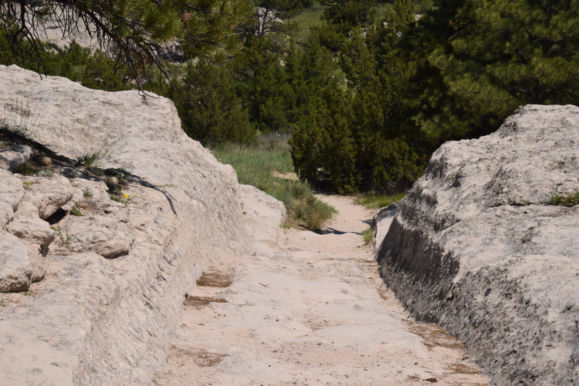 Solve Wagon ruts jigsaw puzzle online with 117 pieces