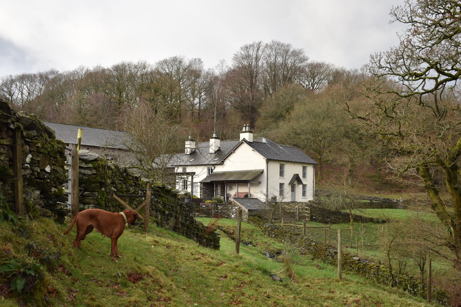 Solve Crook Farm, Rusland valley, England. jigsaw puzzle online with 12 ...