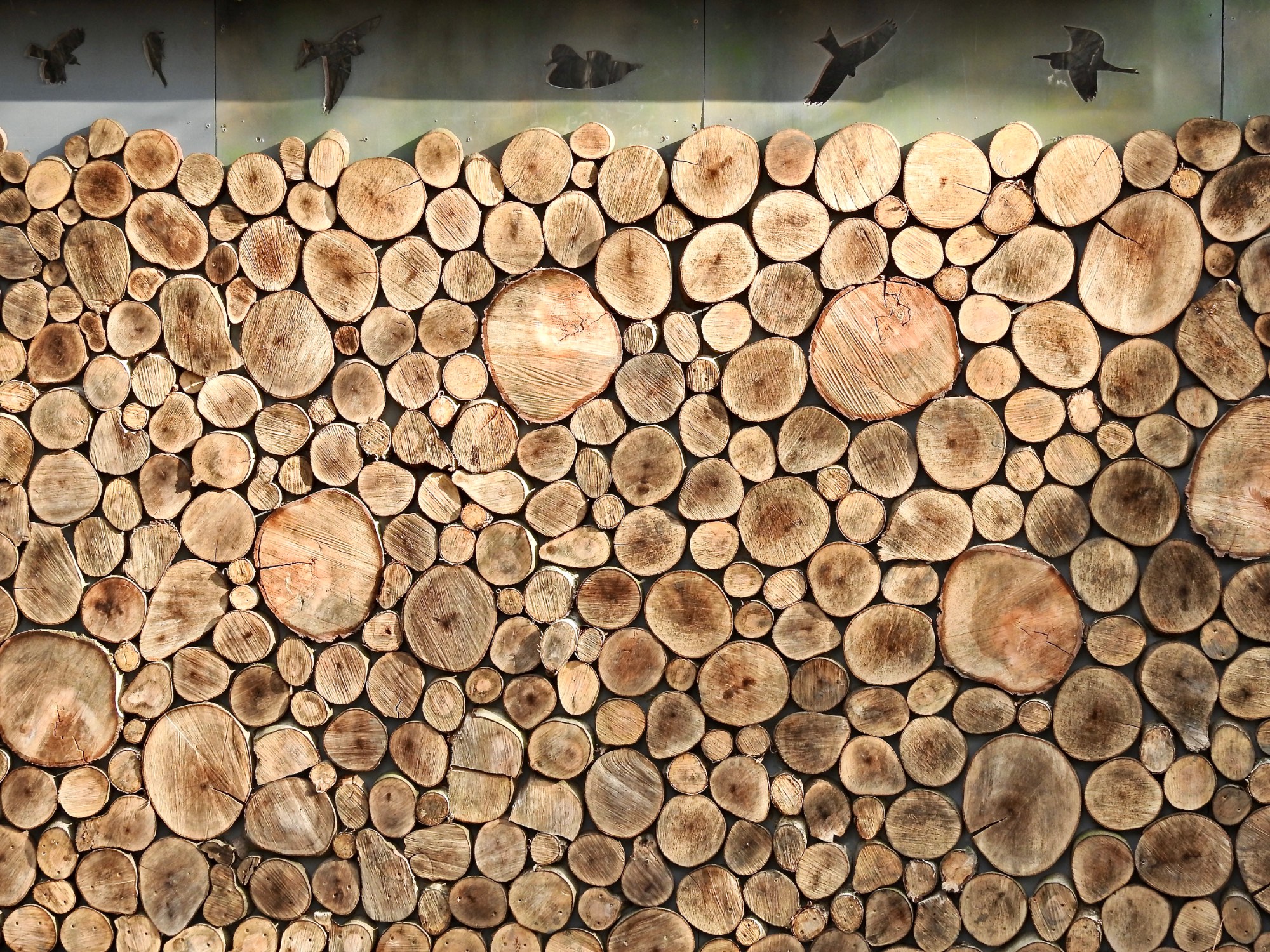 Solve Log Wall Challenge jigsaw puzzle online with 99 pieces