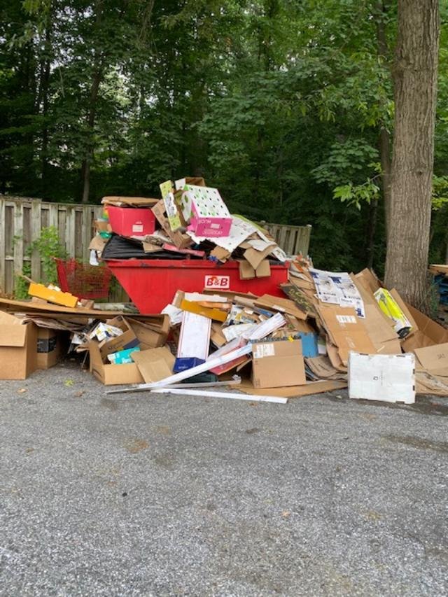 Solve Trash jigsaw puzzle online with 20 pieces