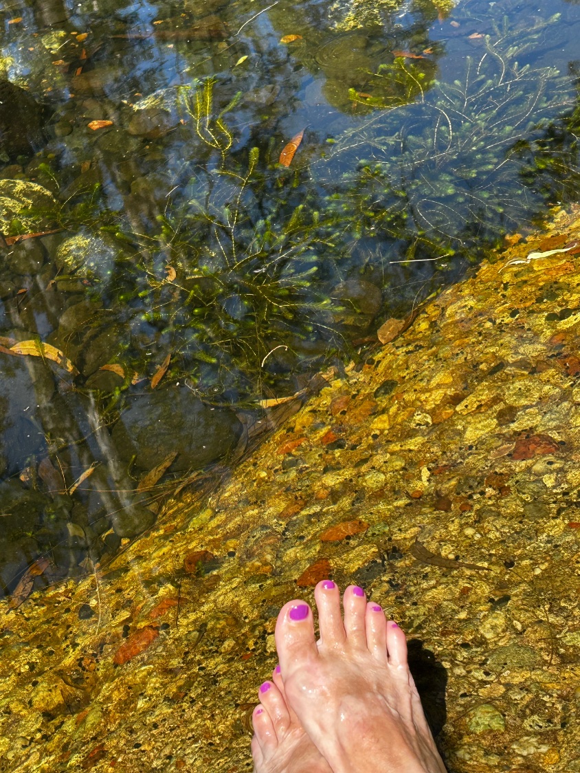 Solve Chilling with my feet in a creek 🦶 jigsaw puzzle online with 12 ...