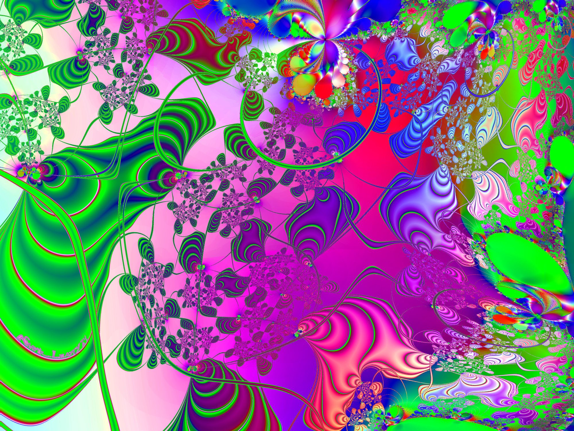 Solve 11242024 Tiera-Zon fractal Shells medium jigsaw puzzle online ...