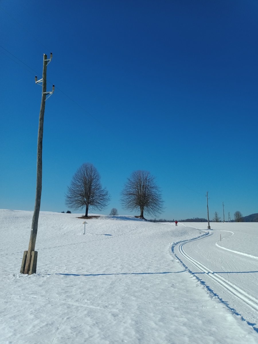 Solve Vertical and horizontal jigsaw puzzle online with 30 pieces