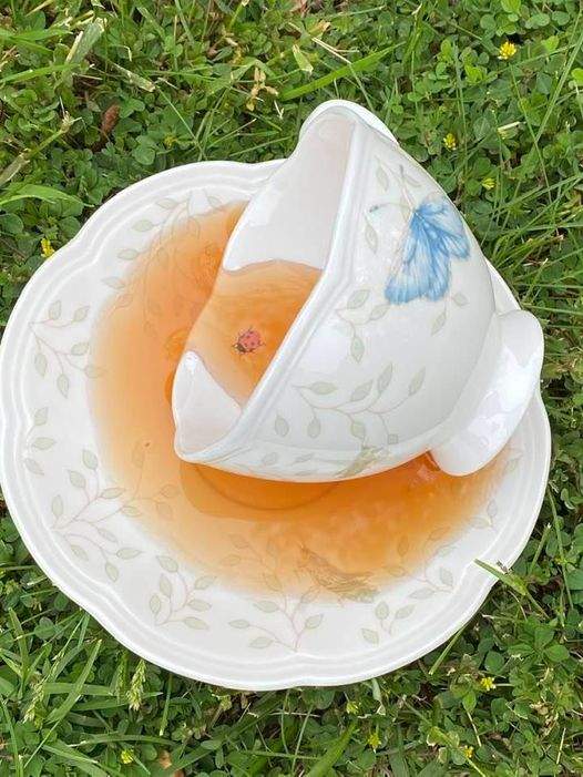 Solve Spilled My Tea jigsaw puzzle online with 48 pieces