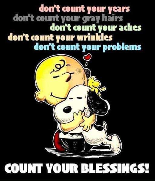 Solve Life lessons from Charlie Brown jigsaw puzzle online with 20 pieces