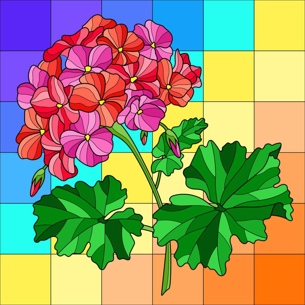 Solve Geranium jigsaw puzzle online with 64 pieces
