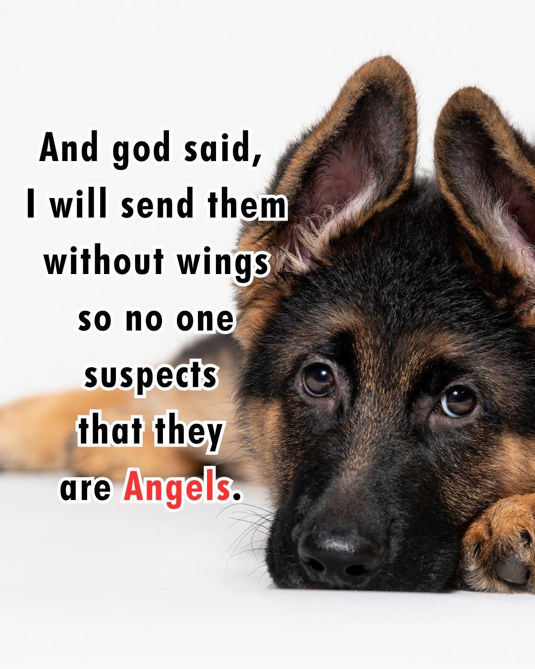 Solve Angels jigsaw puzzle online with 80 pieces