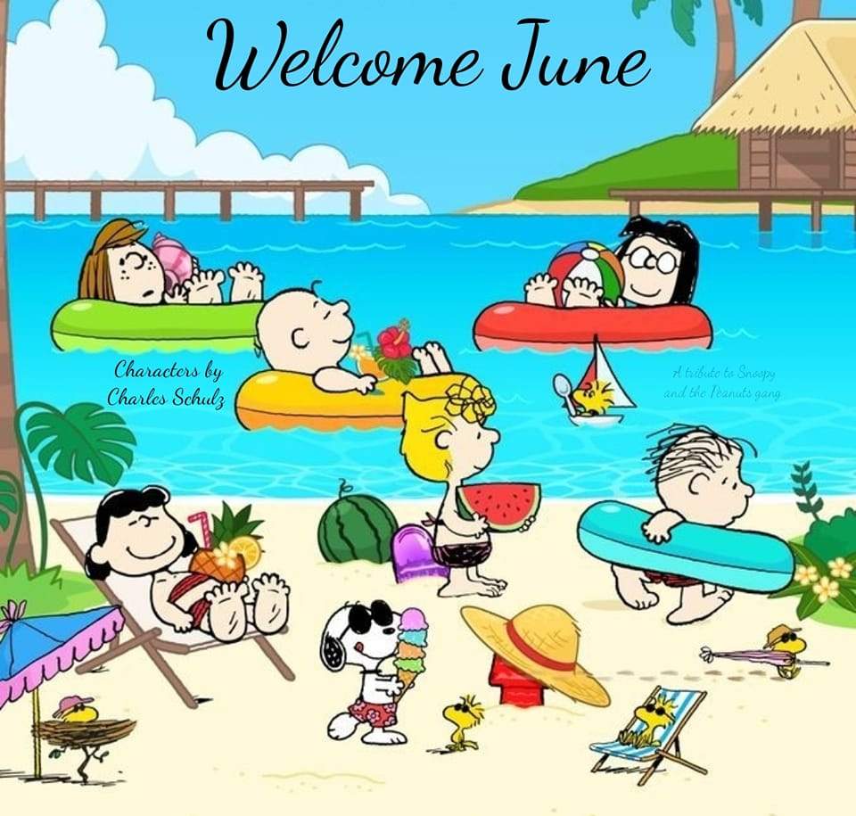 Solve Welcome June Peanuts & Gang from FB Tribute to Peanuts & Gang ...