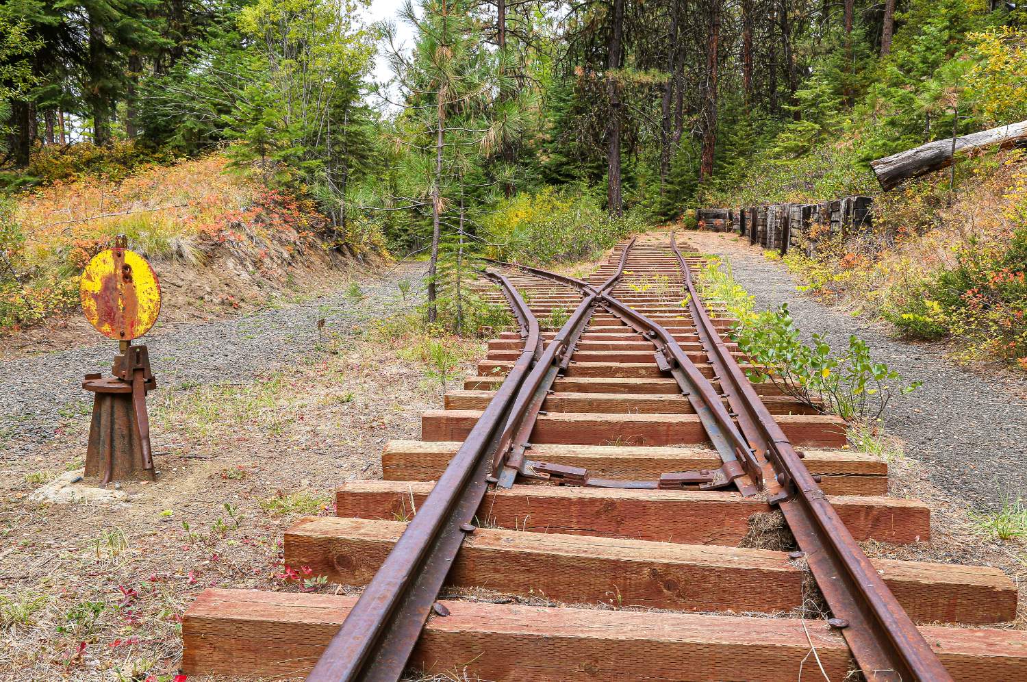 Solve "CLICKITY CLACKITY" jigsaw puzzle online with 96 pieces