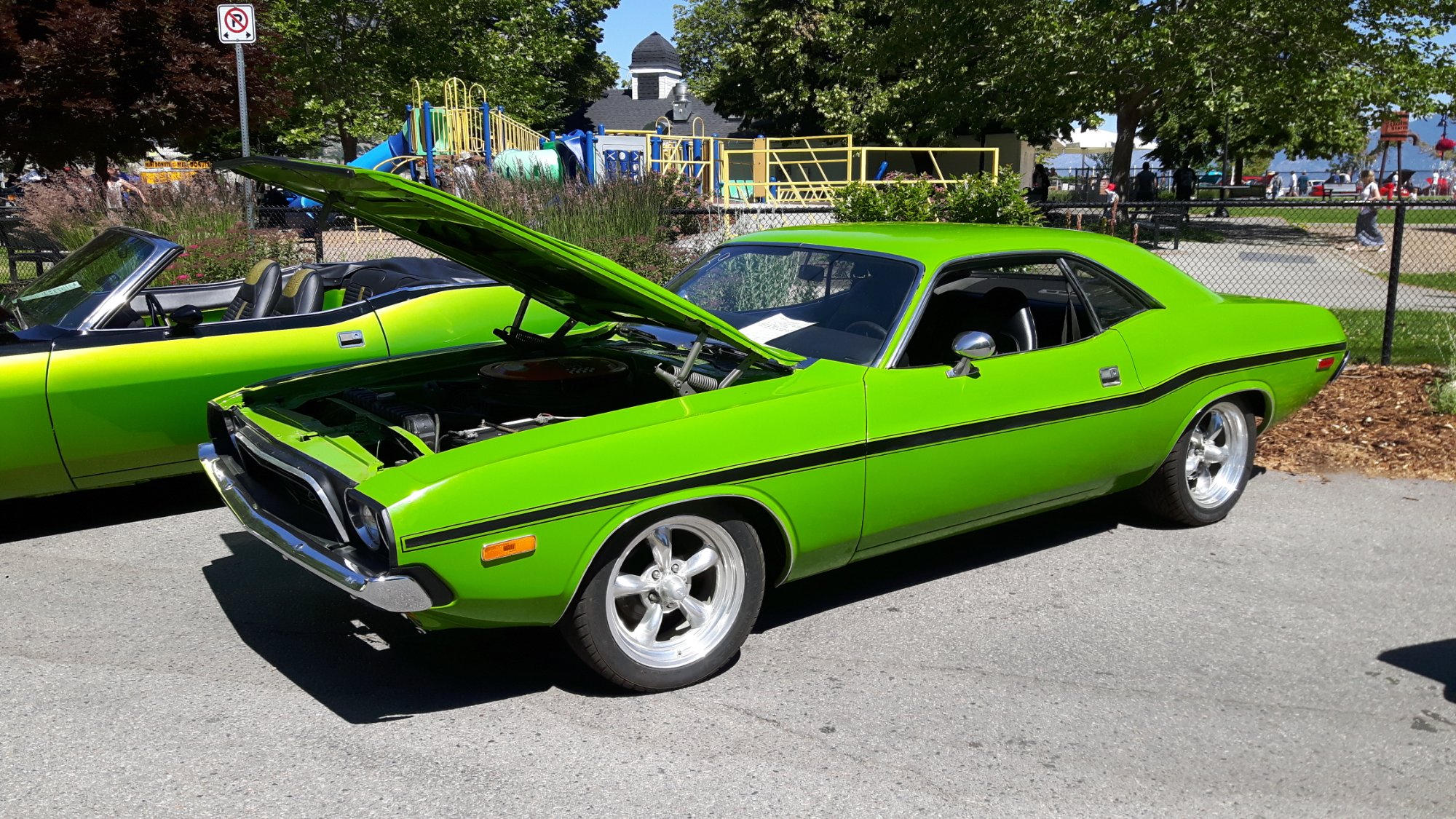 Solve Dodge Challenger jigsaw puzzle online with 220 pieces