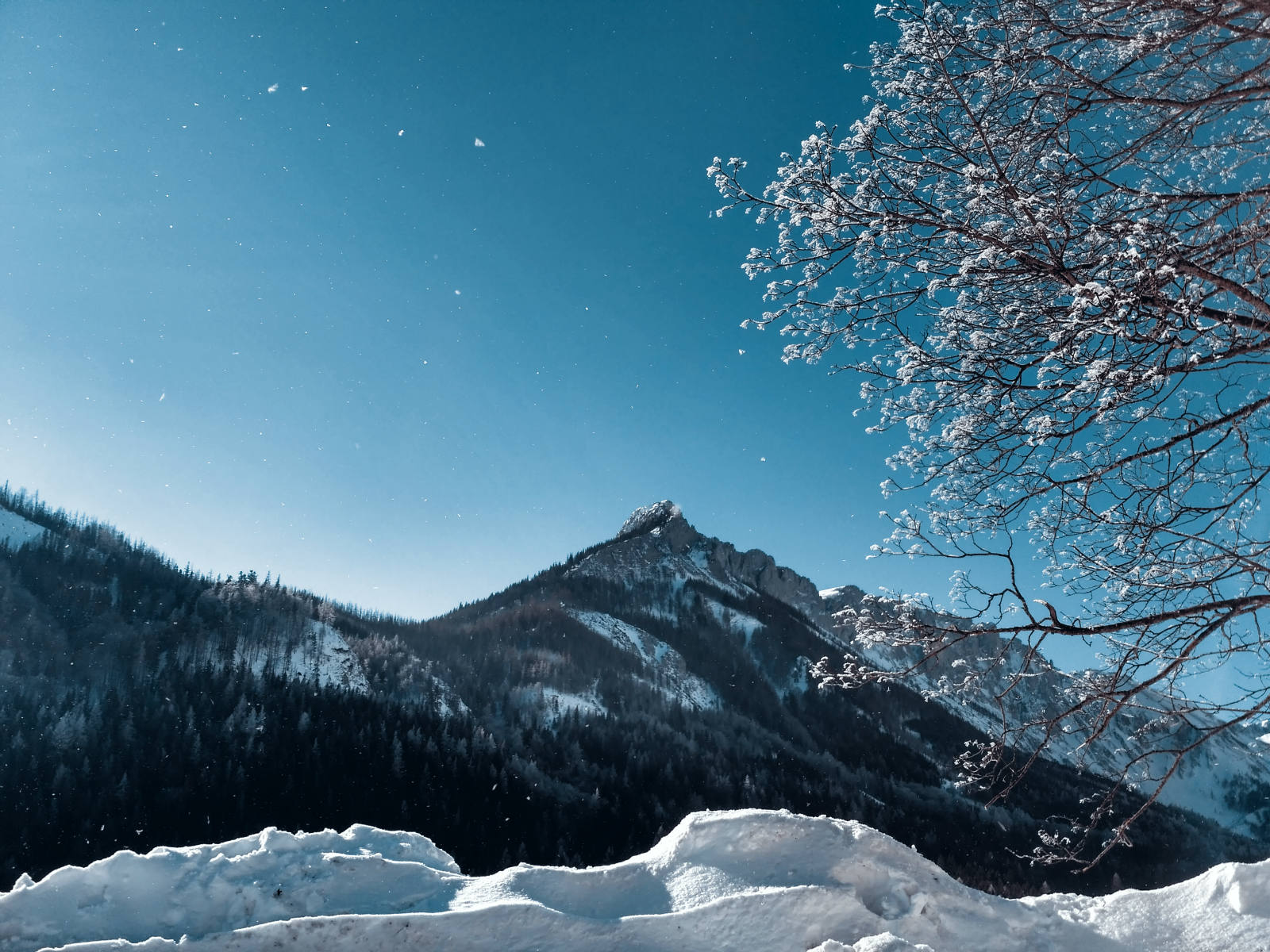 Solve blue sky jigsaw puzzle online with 300 pieces