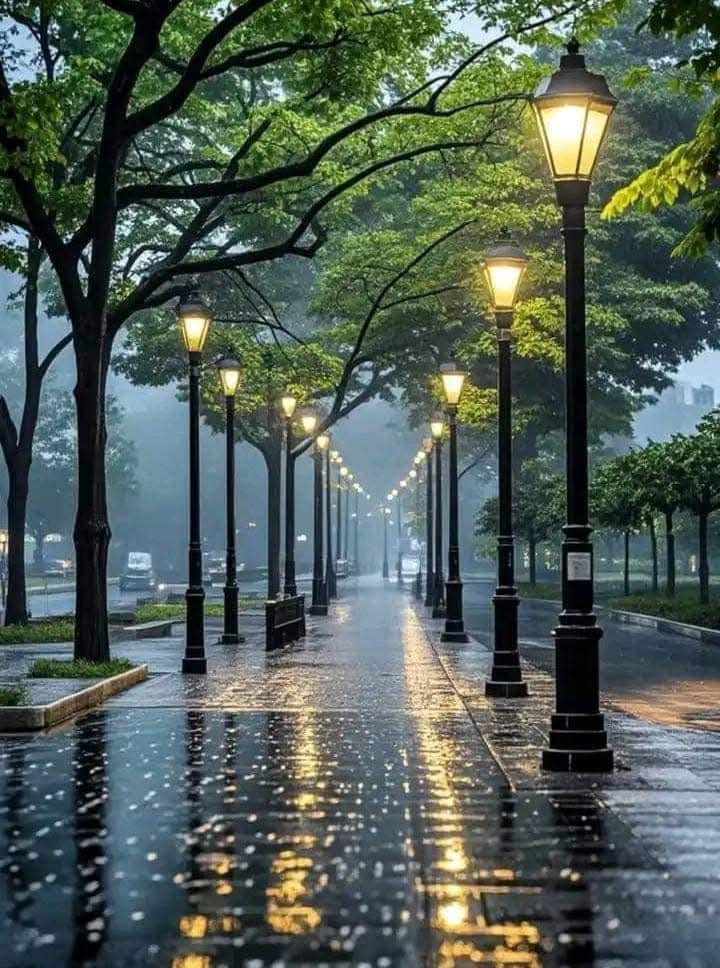 Solve After the rain jigsaw puzzle online with 108 pieces