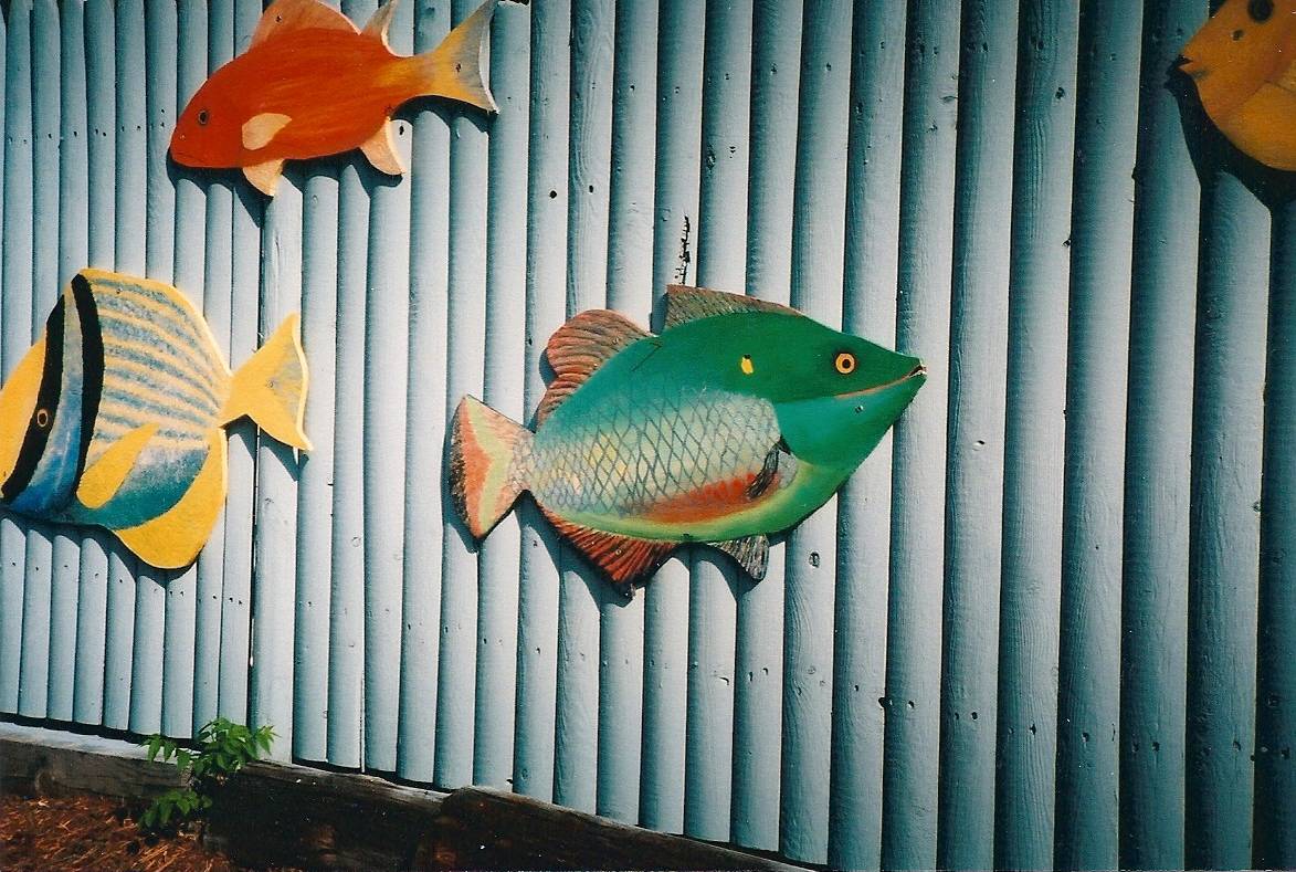 Solve My paintings of Parrot fish and Pork fish on fence jigsaw puzzle ...