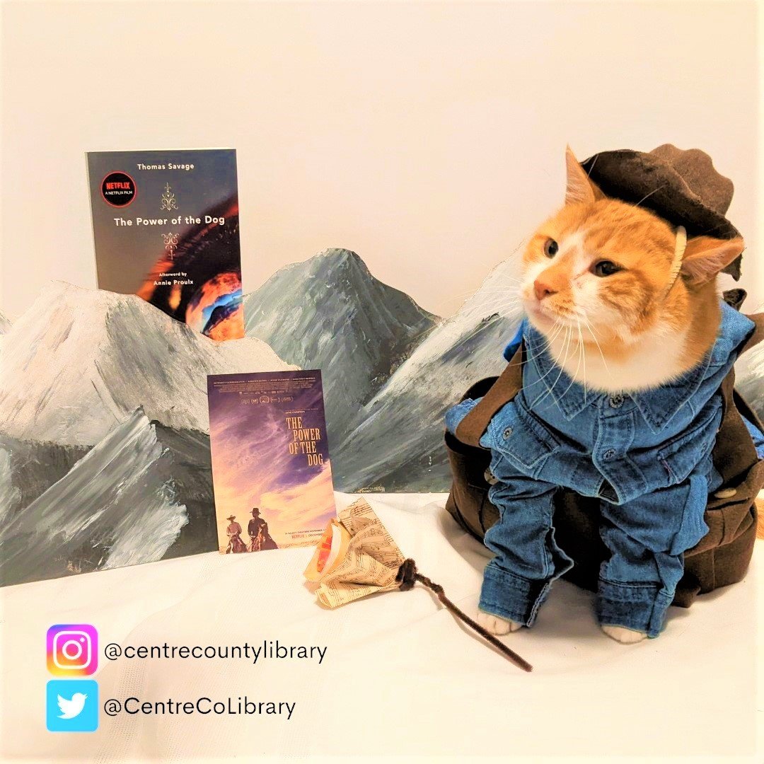 Solve Cat Icon Game #188 - Horatio reads Thomas Savage jigsaw puzzle ...