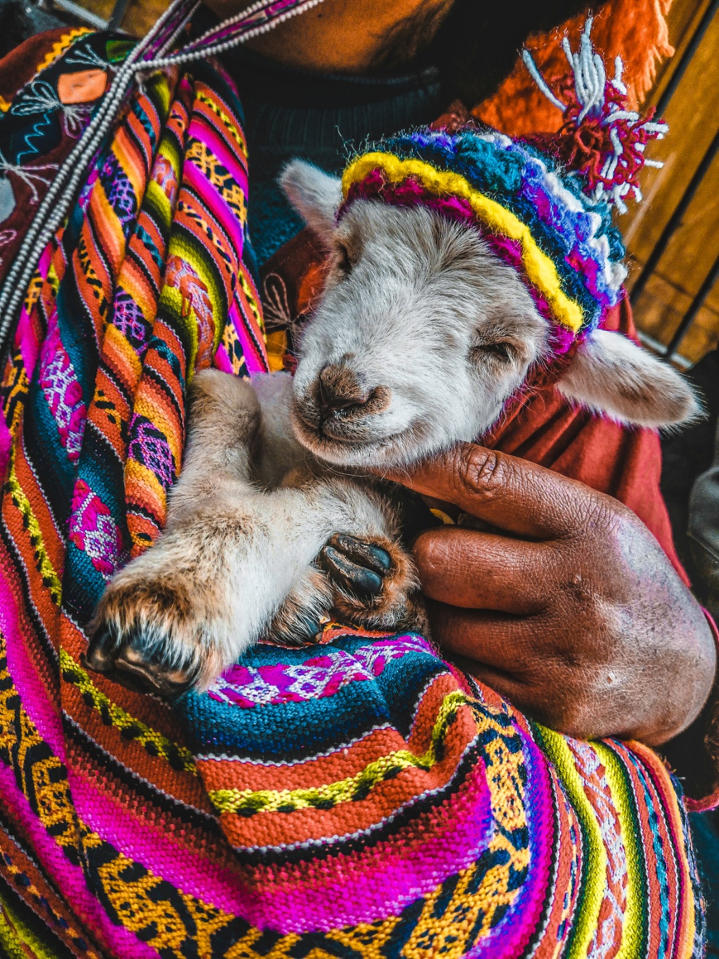 Solve Peru jigsaw puzzle online with 35 pieces