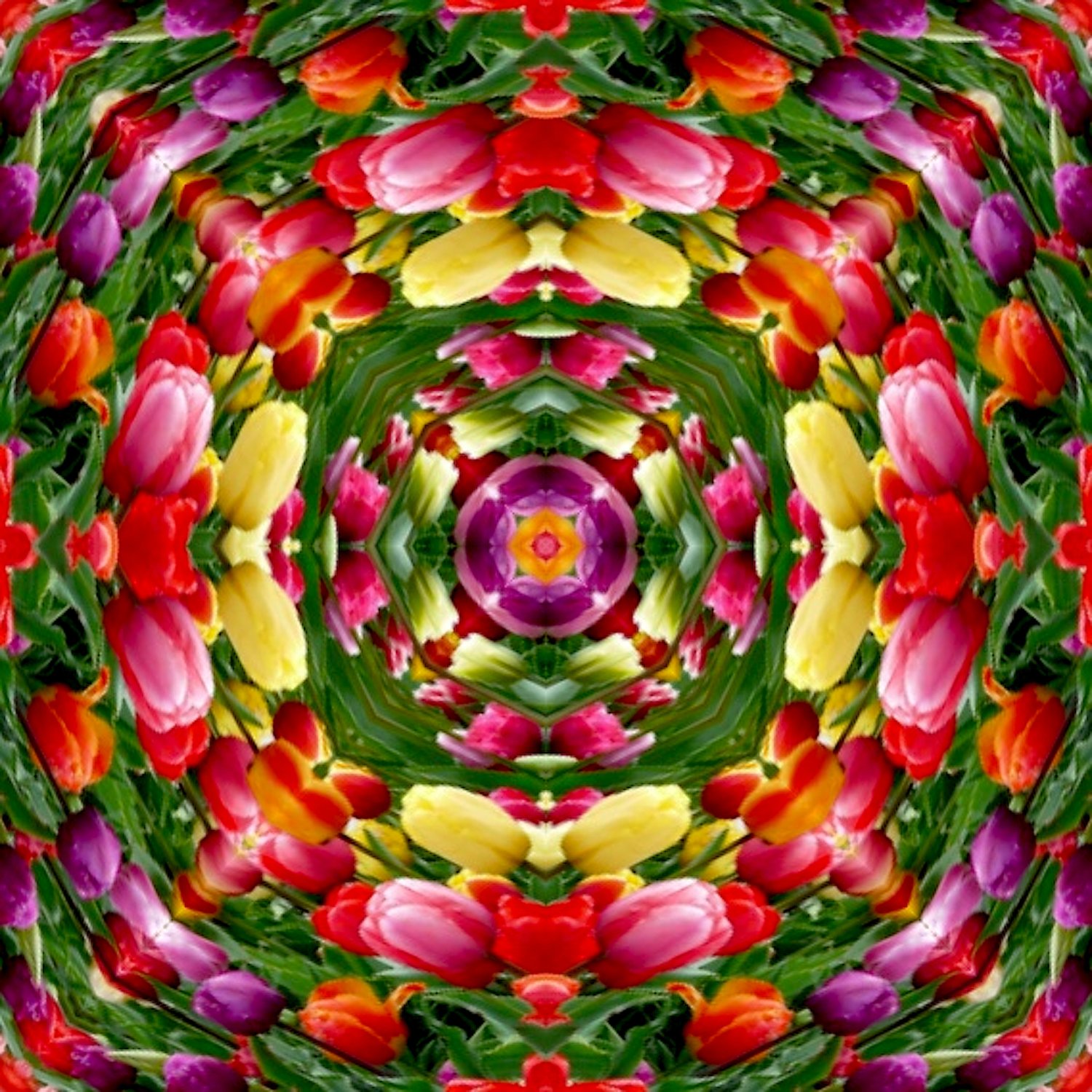 Solve #2 small jigsaw puzzle online with 64 pieces