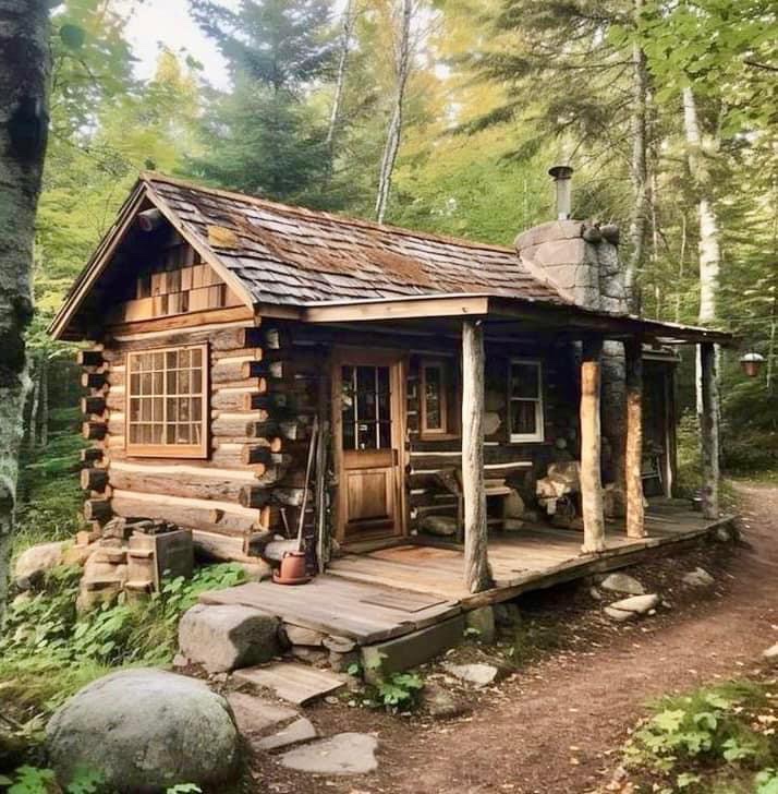 Solve Nice cabin jigsaw puzzle online with 9 pieces