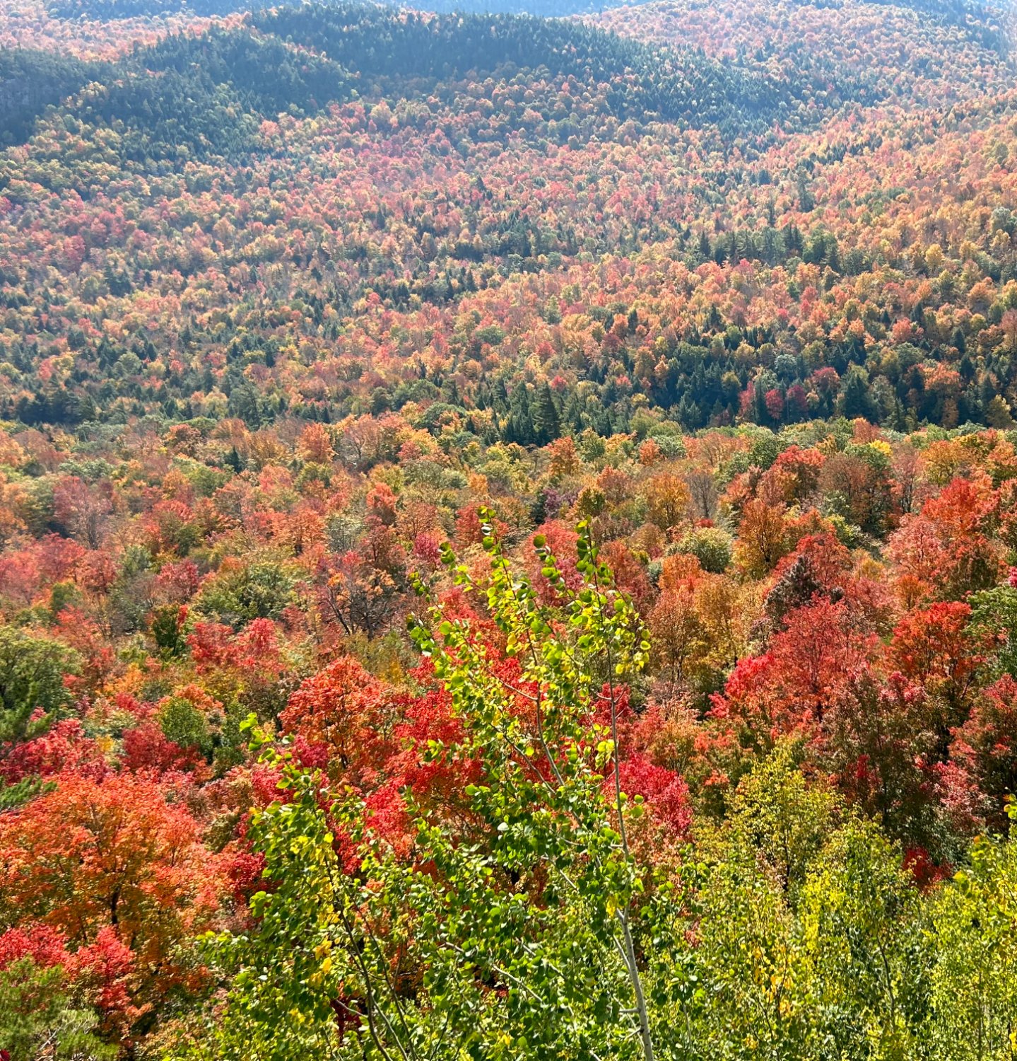 Solve Adirondack hillside in fall jigsaw puzzle online with 144 pieces