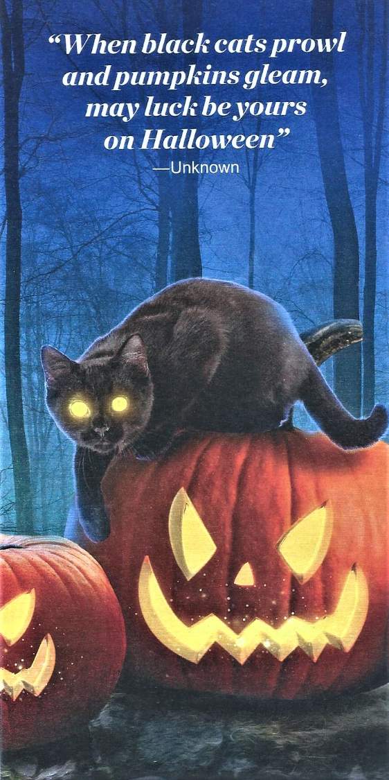 Solve Halloween Luck Quote jigsaw puzzle online with 21 pieces