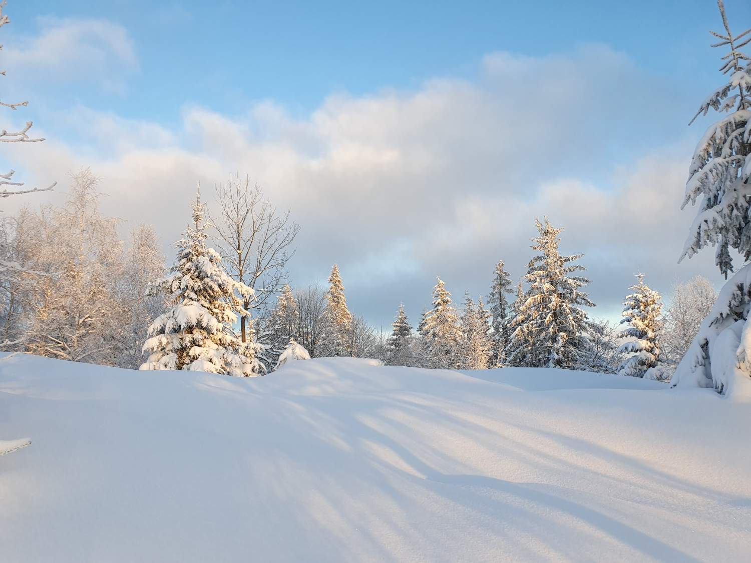 Solve Zima v Beskydech jigsaw puzzle online with 70 pieces