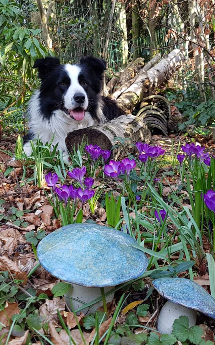 Solve Happy weekend ️ jigsaw puzzle online with 28 pieces