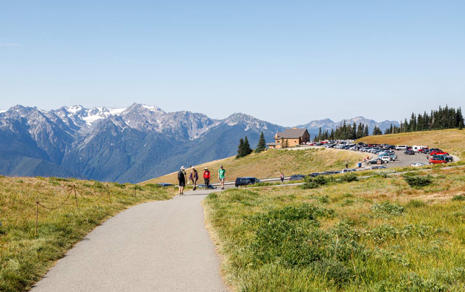 Solve HURRICANE RIDGE jigsaw puzzle online with 96 pieces