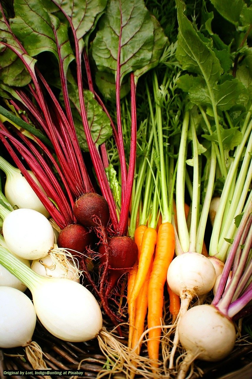 Solve Root vegetables 🧅 jigsaw puzzle online with 54 pieces