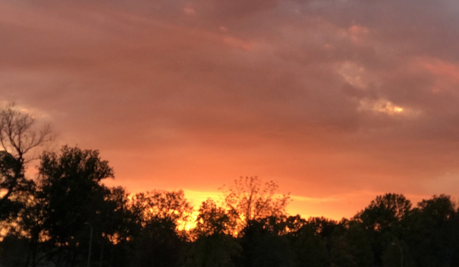 Jigsaw Puzzle | 15 pieces | Sky on Fire, Willmore Park 6:15pm | Jigidi