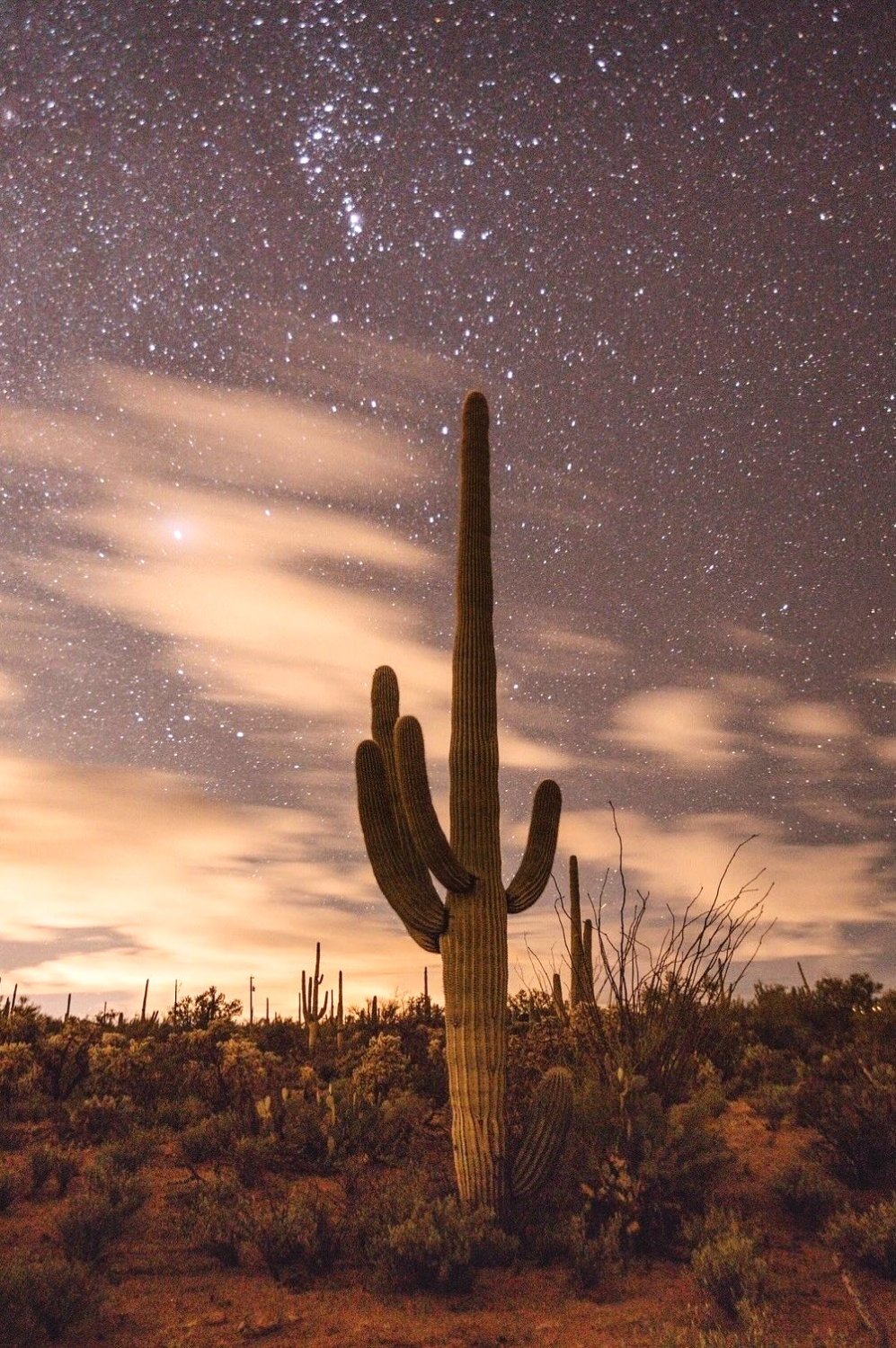 Solve Southern Delta Aquariids scatter light across the desert sky with up to 25 fleeting trails ...