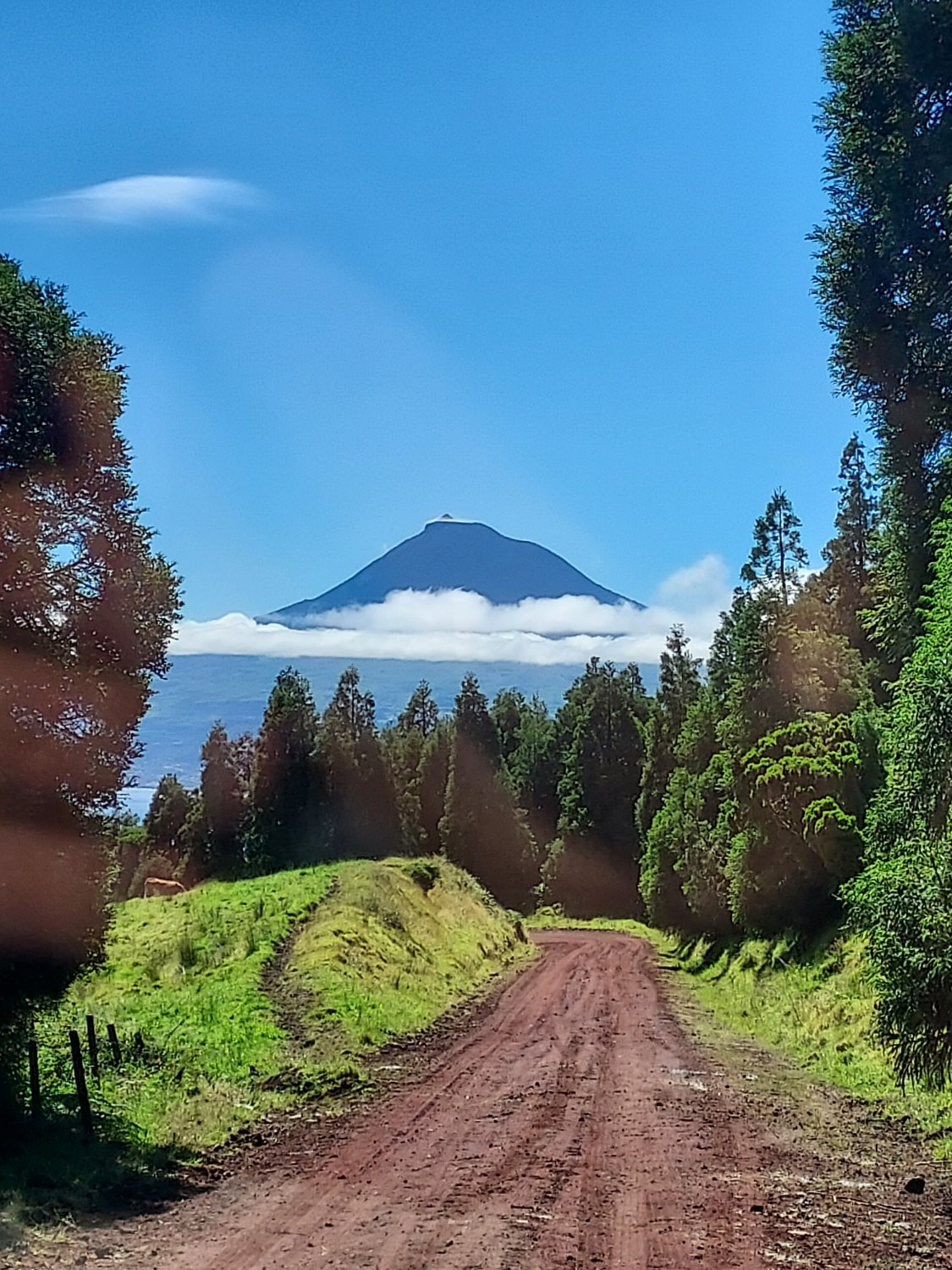 Solve Azores, Pico jigsaw puzzle online with 48 pieces