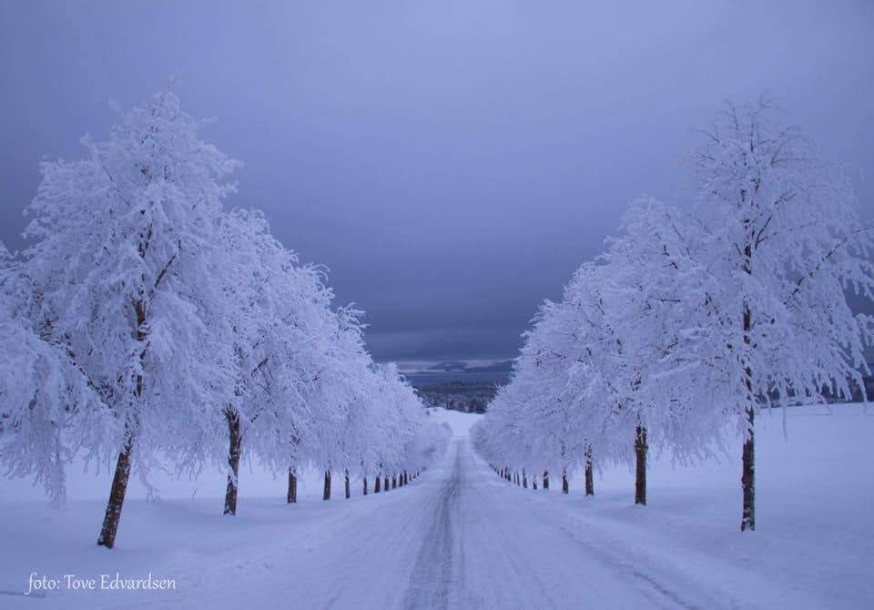 Jigsaw Puzzle | 176 pieces | Stange in Norway | Jigidi