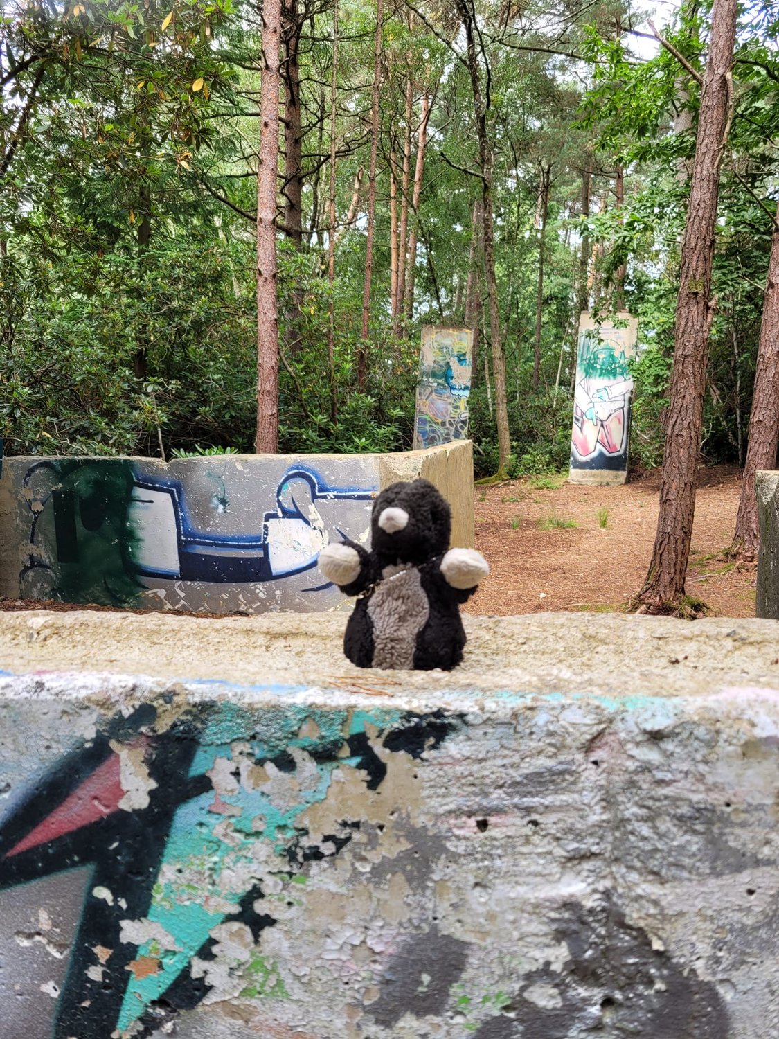 Solve Guess what these are? jigsaw puzzle online with 88 pieces