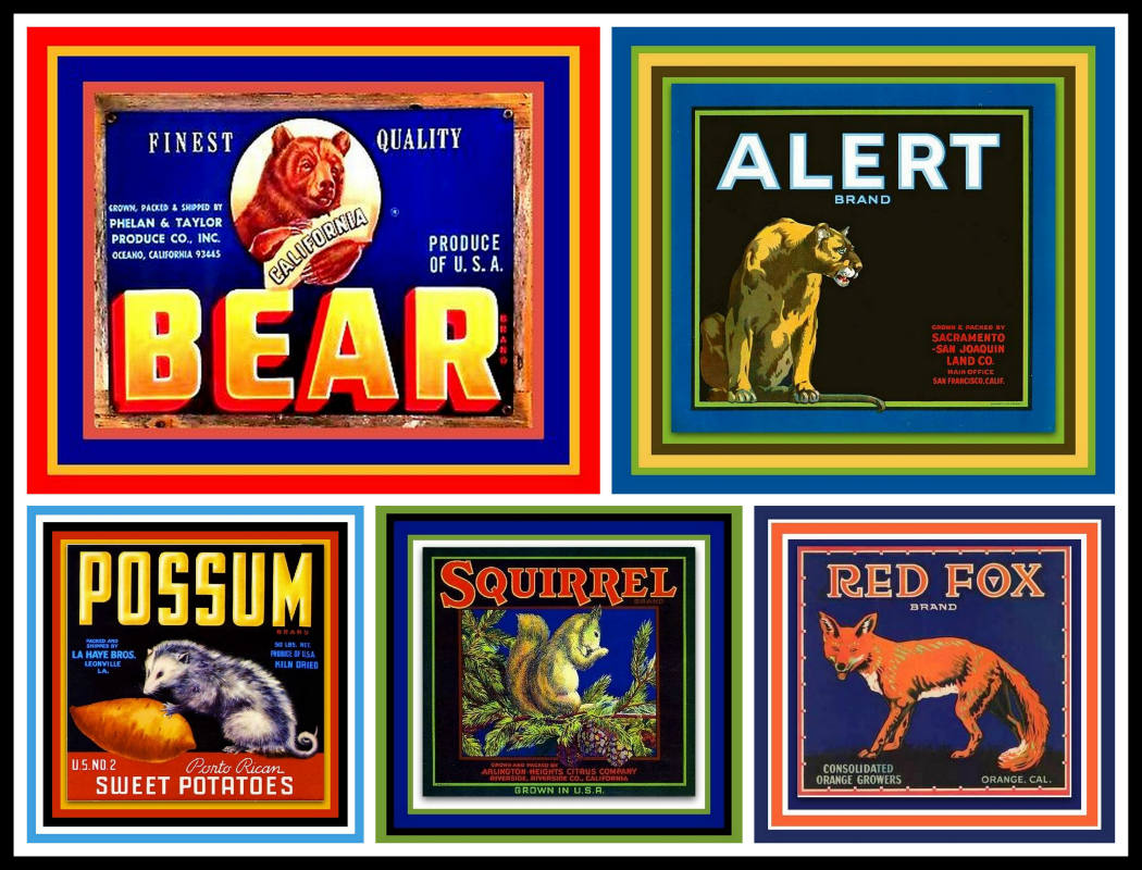 Solve Vintage Fruit Labels - Forest Animals jigsaw puzzle online with ...