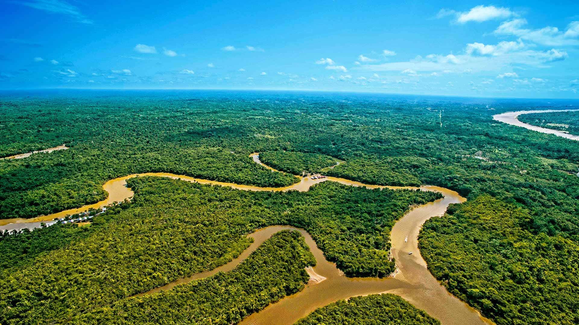 Solve Aerial view of the Amazon Rainforest and the Amazon River. The ...