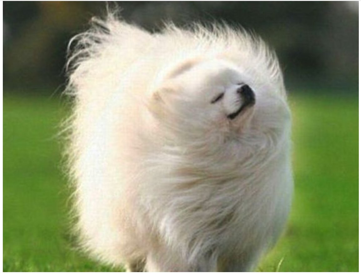 Solve Riding The Wind and Keeping Cool! jigsaw puzzle online with 20 pieces