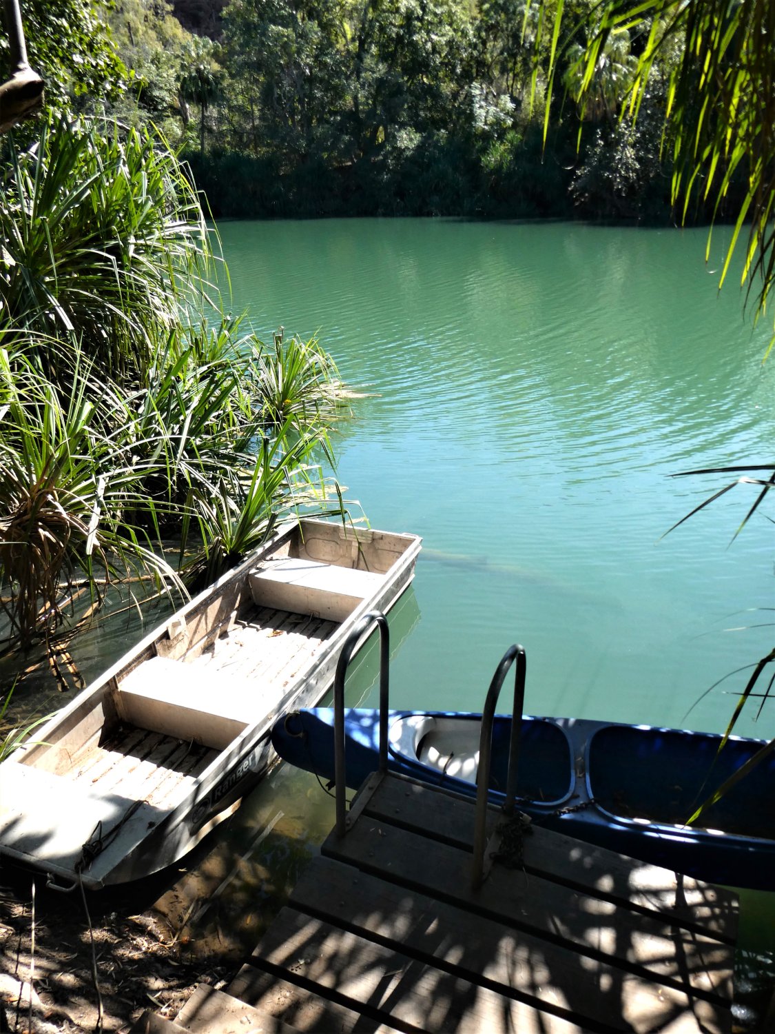 Solve Adels Grove, Queensland, Australia jigsaw puzzle online with 154 ...