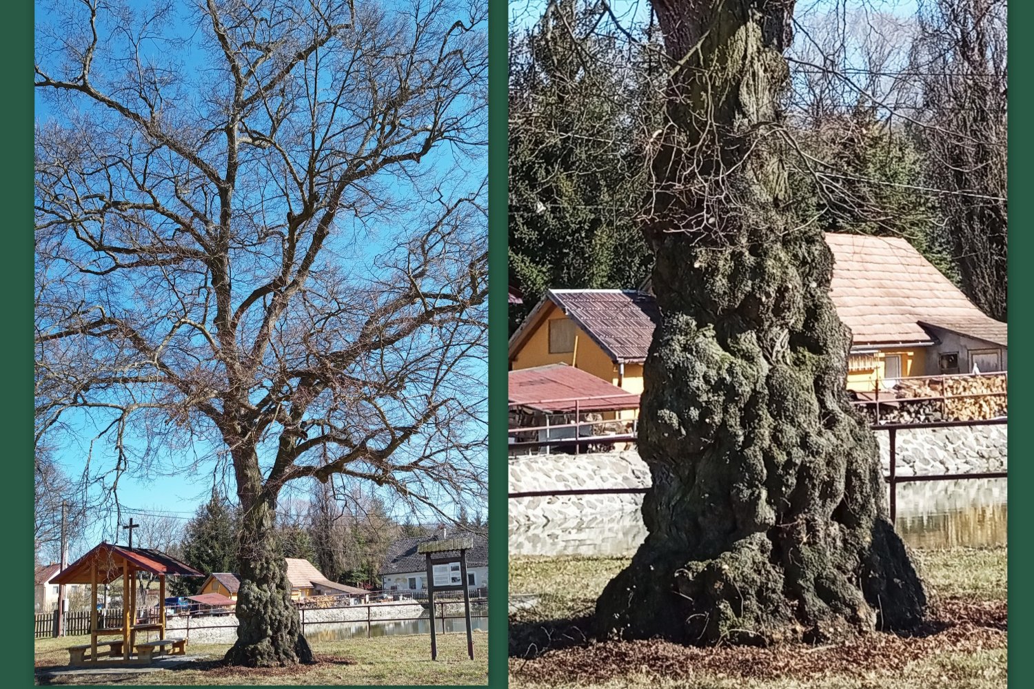 Solve strom jigsaw puzzle online with 12 pieces