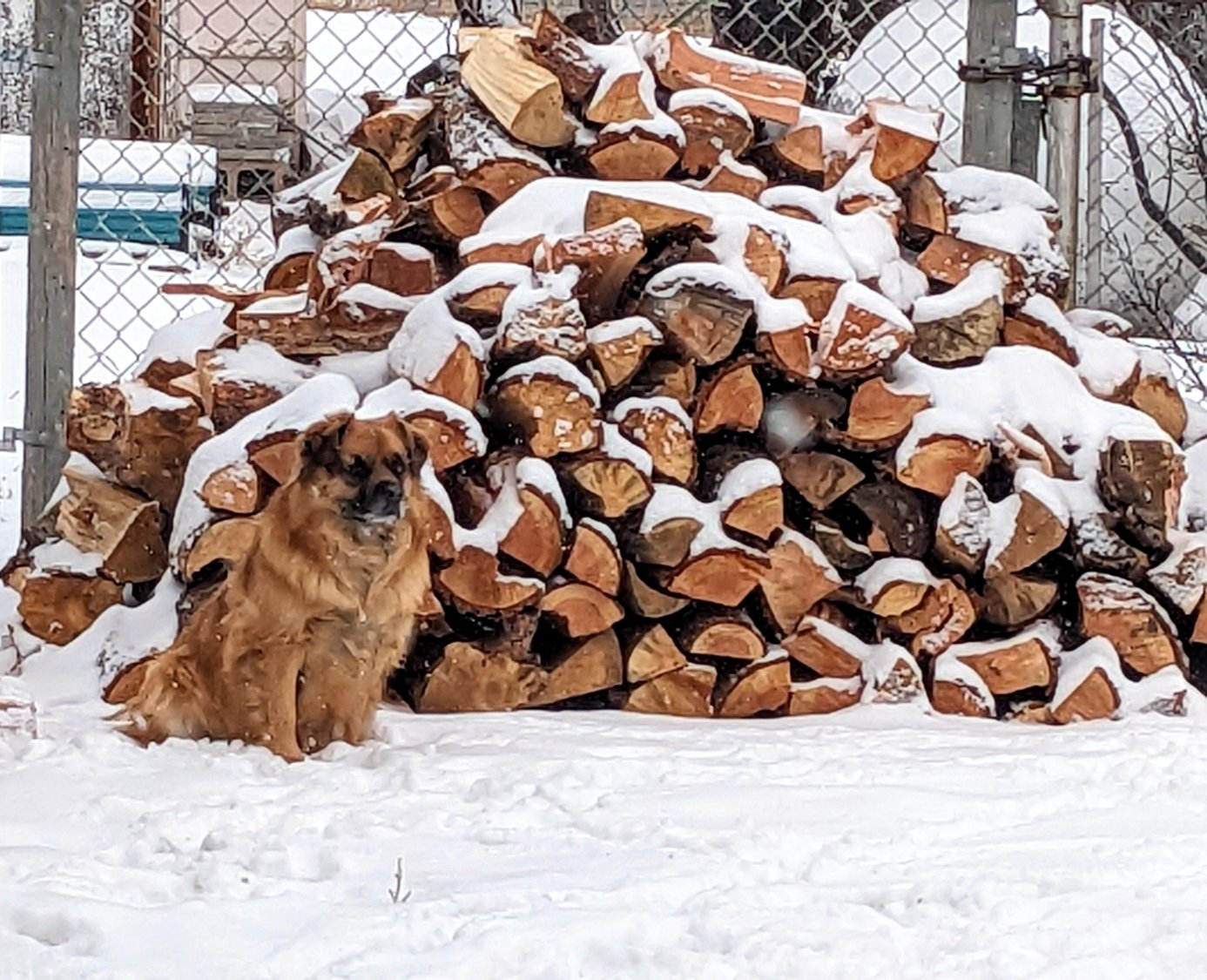 Solve Nobody will ever notice that Woodpile. It's perfectly camouflaged ...
