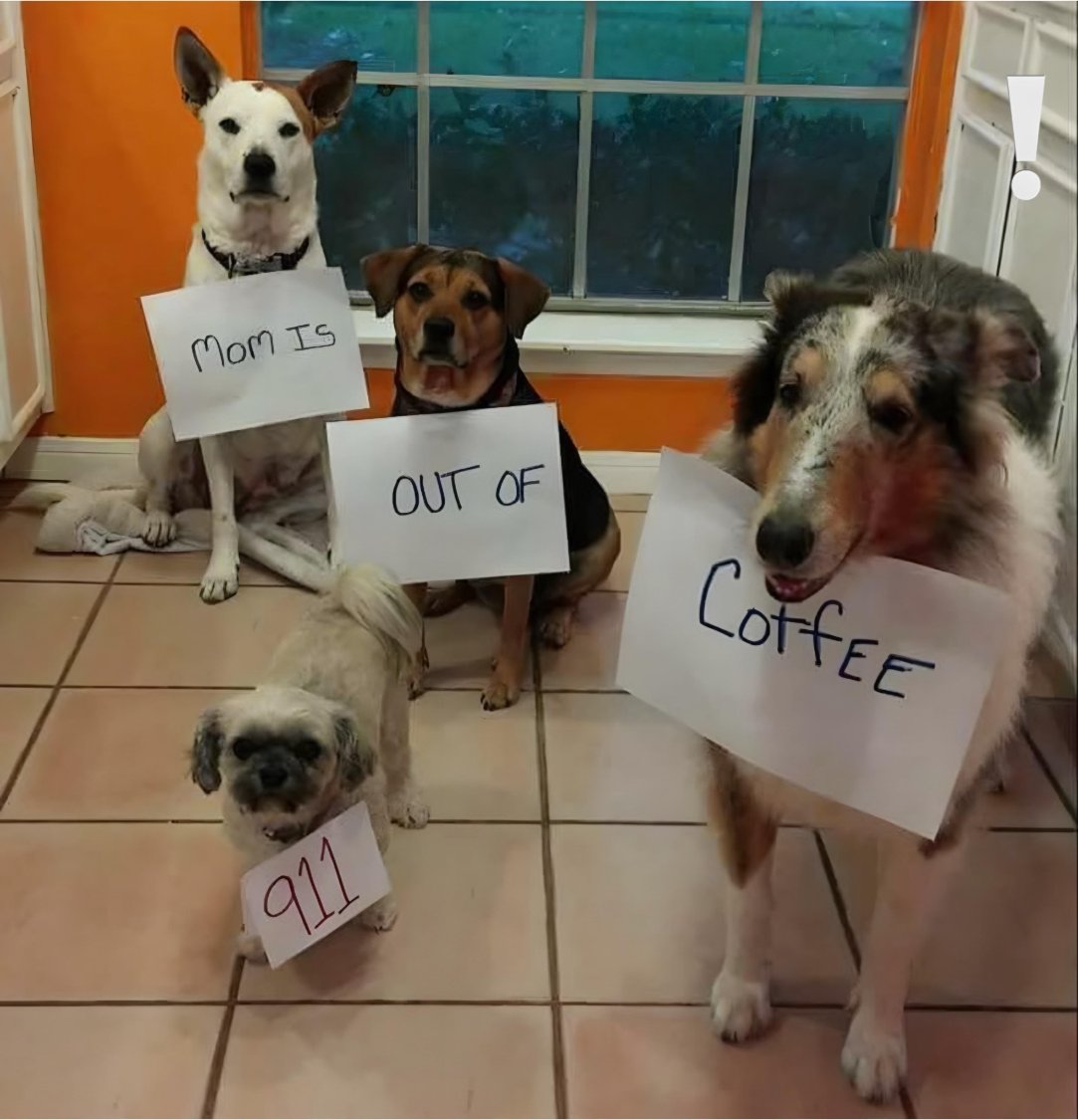 Solve On Mondays, when it gets Ruff, they're here to help! jigsaw ...