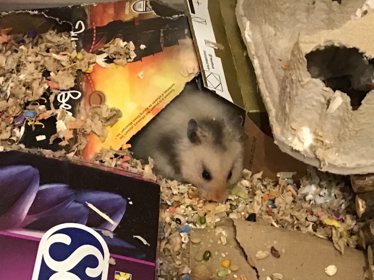 Solve Bubly Root Beer Float jigsaw puzzle online with 35 pieces