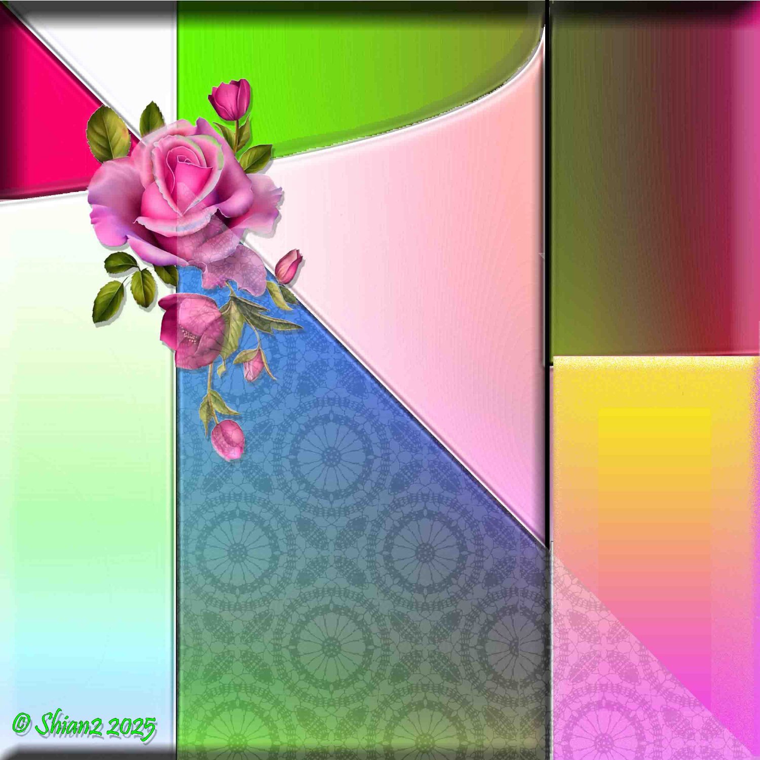 Solve Pink Rose and lace jigsaw puzzle online with 169 pieces