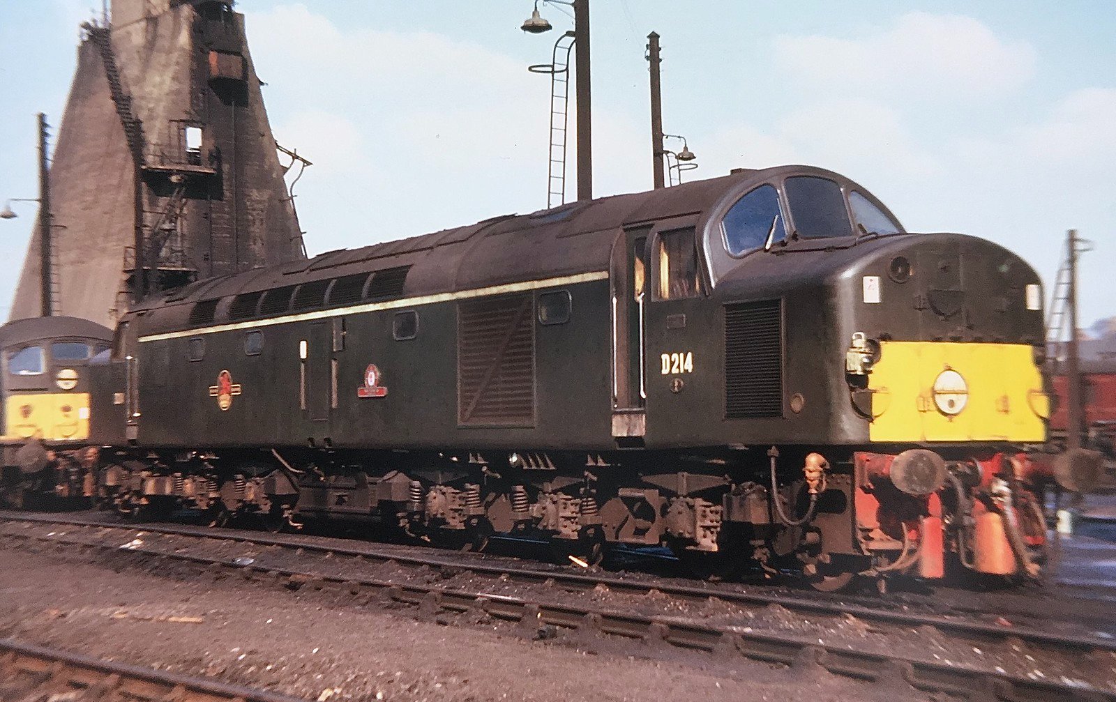 Solve D214 Antonia Carnforth jigsaw puzzle online with 77 pieces