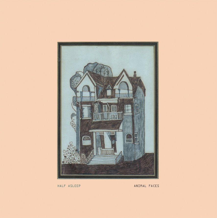 Solve Half Asleep by Animal Faces jigsaw puzzle online with 36 pieces