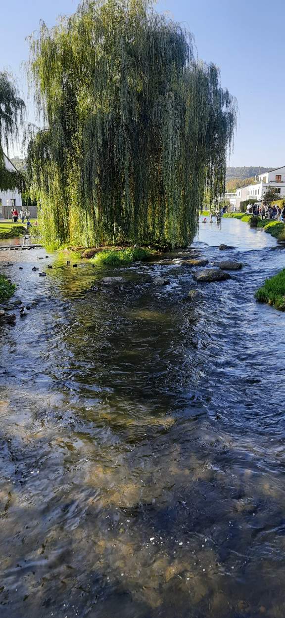 Solve #22_BBR-Ost jigsaw puzzle online with 50 pieces