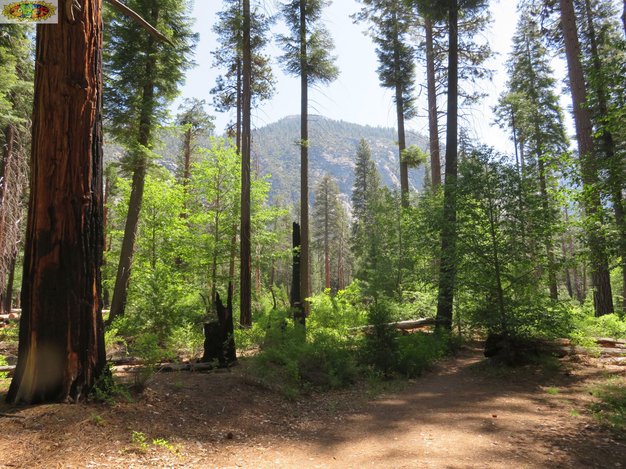 Solve At Roads End jigsaw puzzle online with 88 pieces