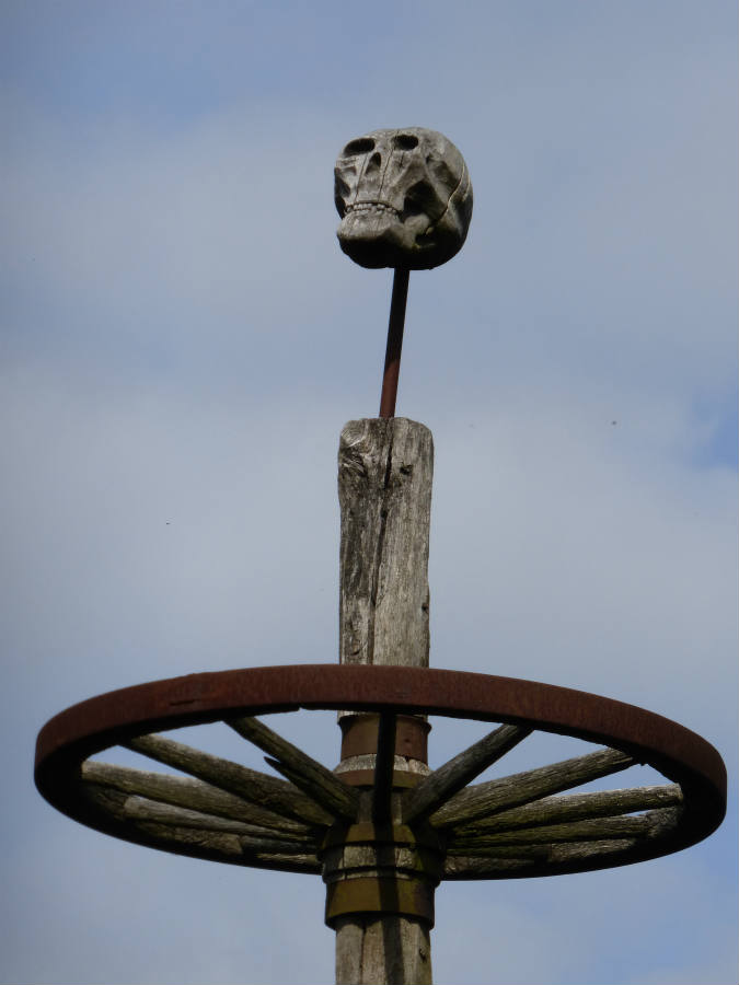 Solve The top of the rack!!! jigsaw puzzle online with 35 pieces