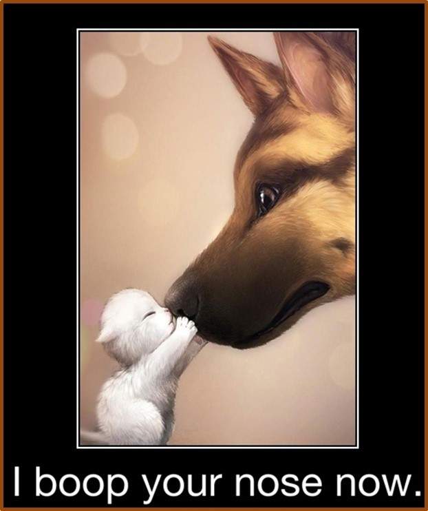 Solve Who's the Booper, and Who's the Booped? jigsaw puzzle online with ...