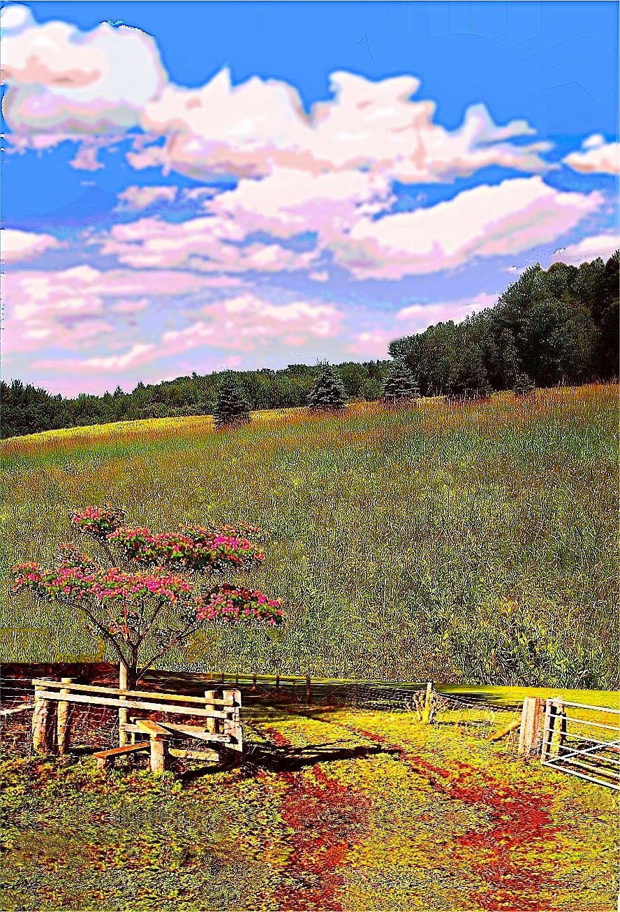 Solve THE COUNTRY jigsaw puzzle online with 70 pieces