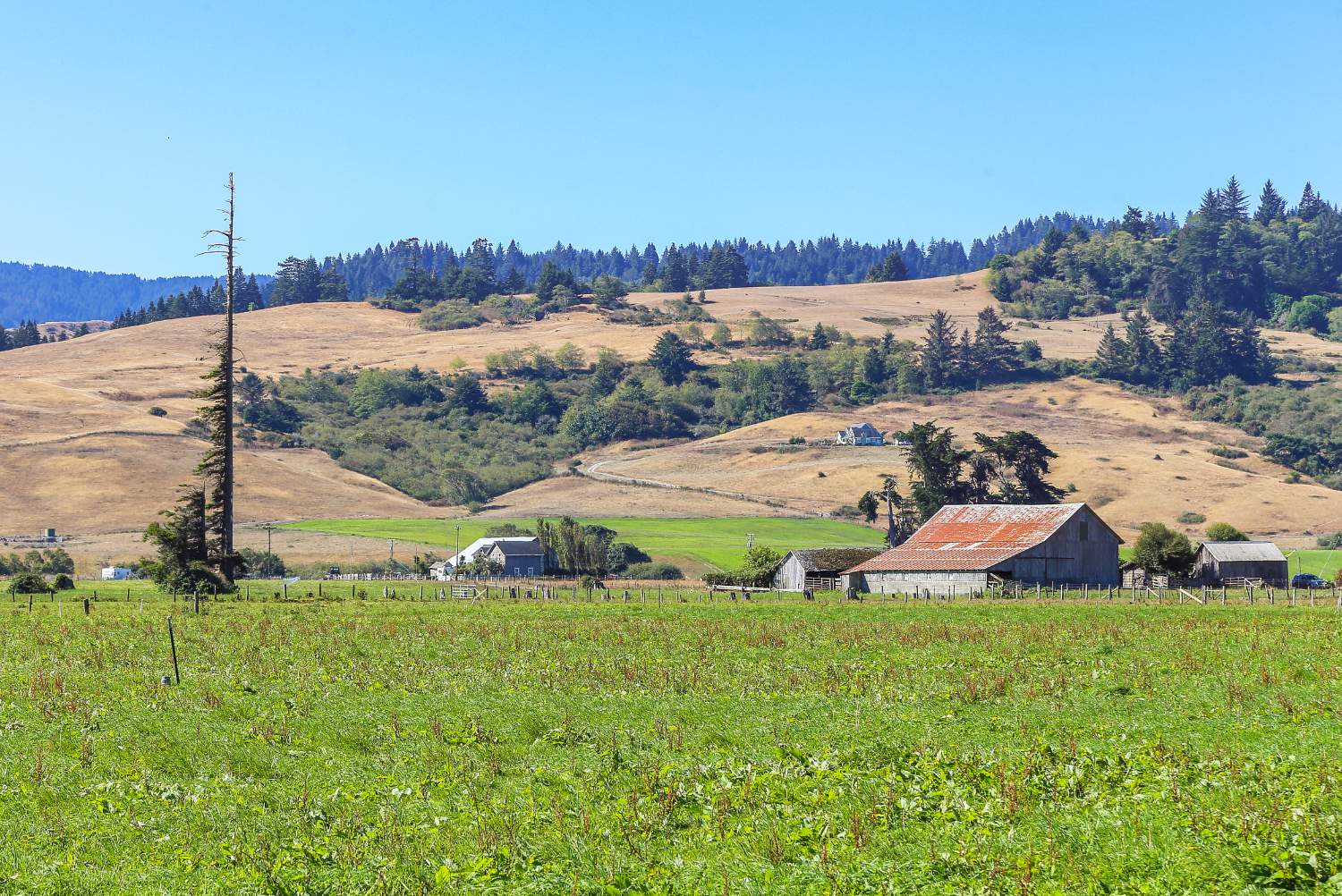 Solve CALIFORNIA FARMLAND jigsaw puzzle online with 96 pieces